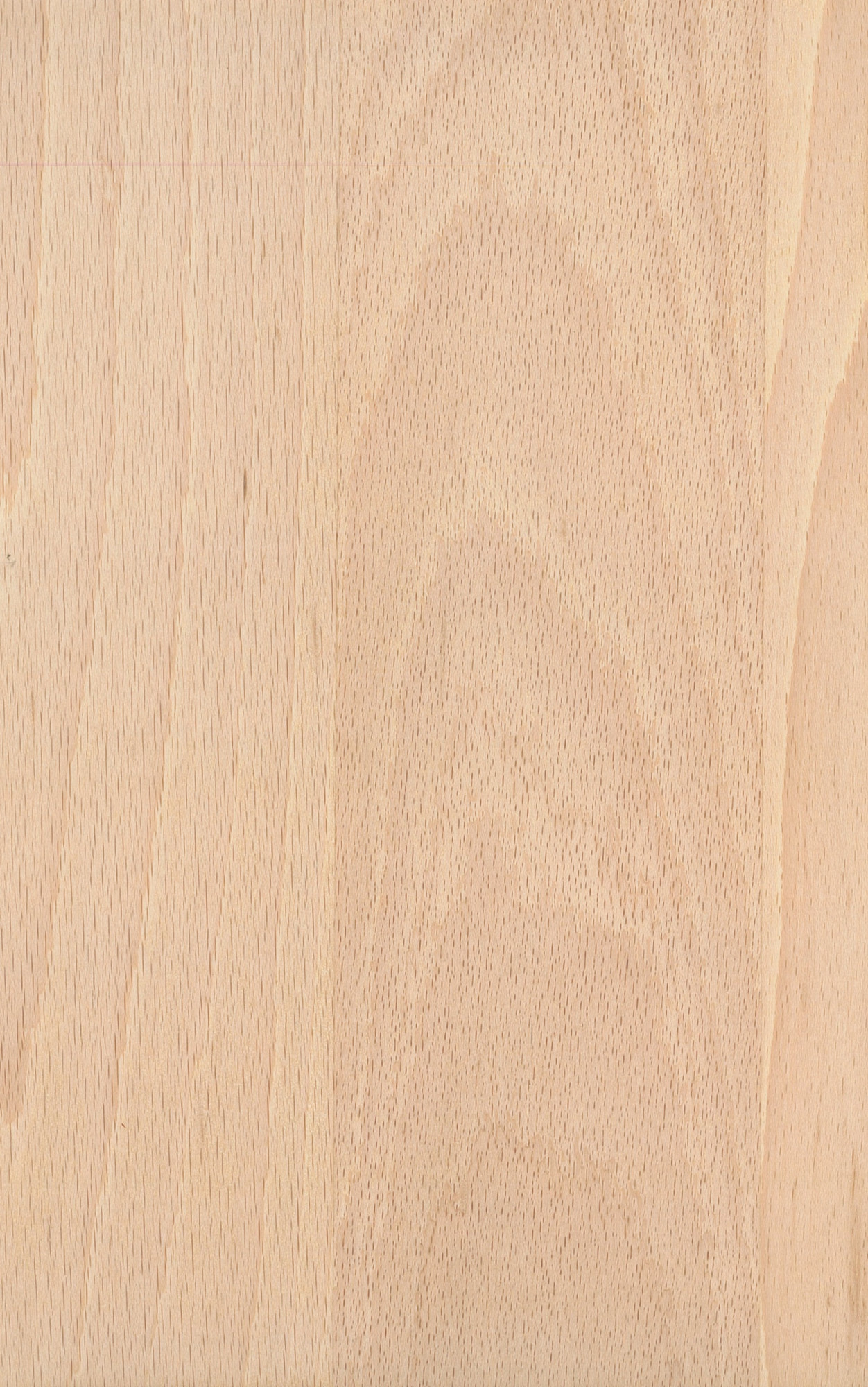 Beuk | Houtzagerij Demunster Heule | Groothandel hout, groothandel ...